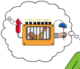 Activity 2: Analysis