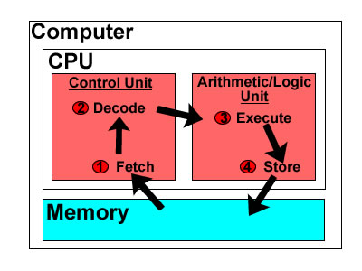 Activity 4: Executing Programs